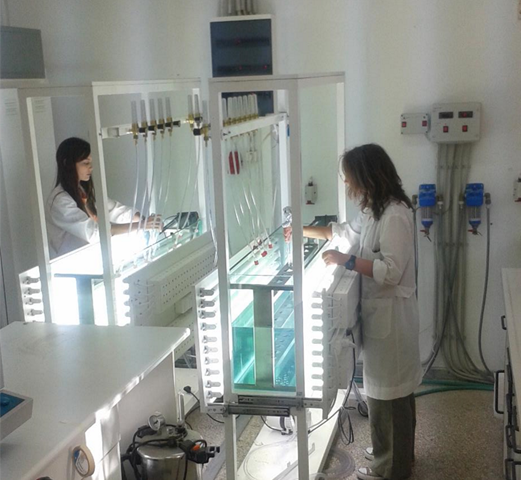 ΕΡΓΑΣΤΗΡΙΟ ΒΙΟΤΕΧΝΟΛΟΓΙΚΩΝ ΕΦΑΡΜΟΓΩΝ ΚΑΙ ΦΥΤΟΠΡΟΣΤΑΣΙΑΣ (ΕΒΕΦ) - Τμήμα ...