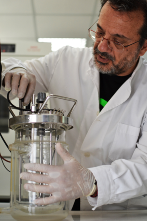 ΕΡΓΑΣΤΗΡΙΟ ΒΙΟΤΕΧΝΟΛΟΓΙΚΩΝ ΕΦΑΡΜΟΓΩΝ ΚΑΙ ΦΥΤΟΠΡΟΣΤΑΣΙΑΣ (ΕΒΕΦ) - Τμήμα ...