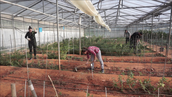 ΕΡΓΑΣΤΗΡΙΟ ΠΟΙΟΤΗΤΑΣ ΚΑΙ ΑΣΦΑΛΕΙΑΣ ΑΓΡΟΤΙΚΩΝ ΠΡΟΪΟΝΤΩΝ, ΤΟΠΙΟΥ ΚΑΙ ...