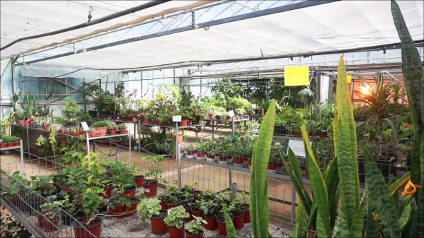 ΕΡΓΑΣΤΗΡΙΟ ΠΟΙΟΤΗΤΑΣ ΚΑΙ ΑΣΦΑΛΕΙΑΣ ΑΓΡΟΤΙΚΩΝ ΠΡΟΪΟΝΤΩΝ, ΤΟΠΙΟΥ ΚΑΙ ...